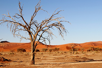 Travel Vision (Pty) Ltd